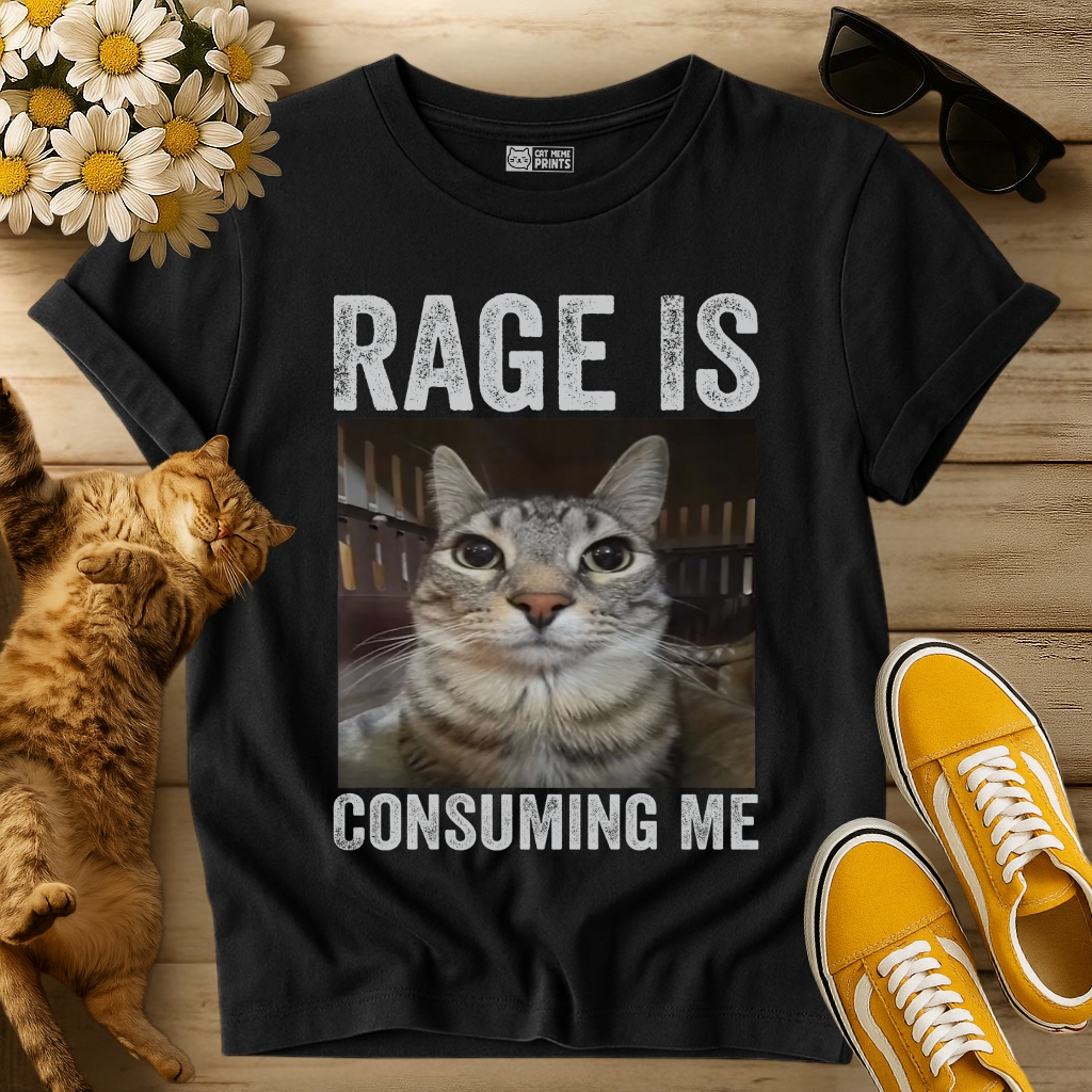 Rage is Consuming Me Silly Staring Cat Meme T shirt – Cat Meme Prints