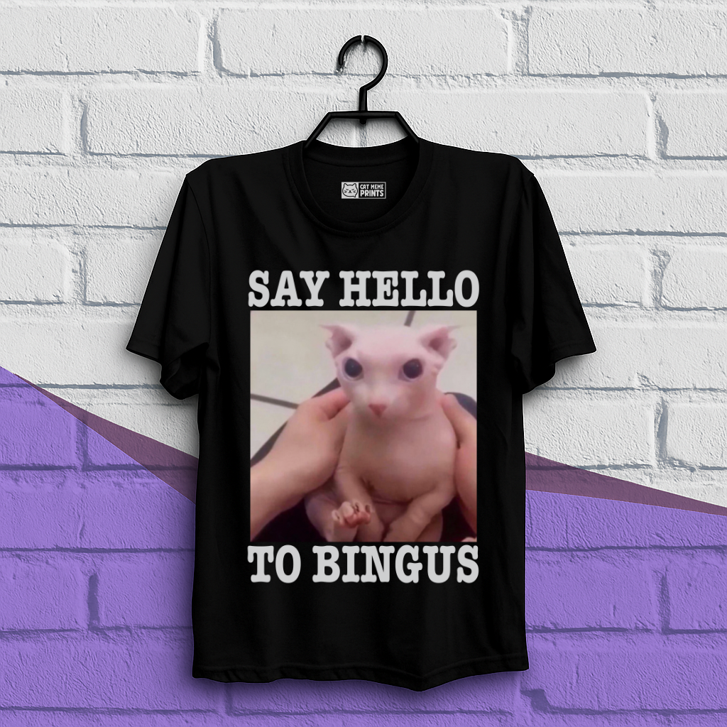 Say Hello To Bingus T-Shirt – Cat Meme Prints